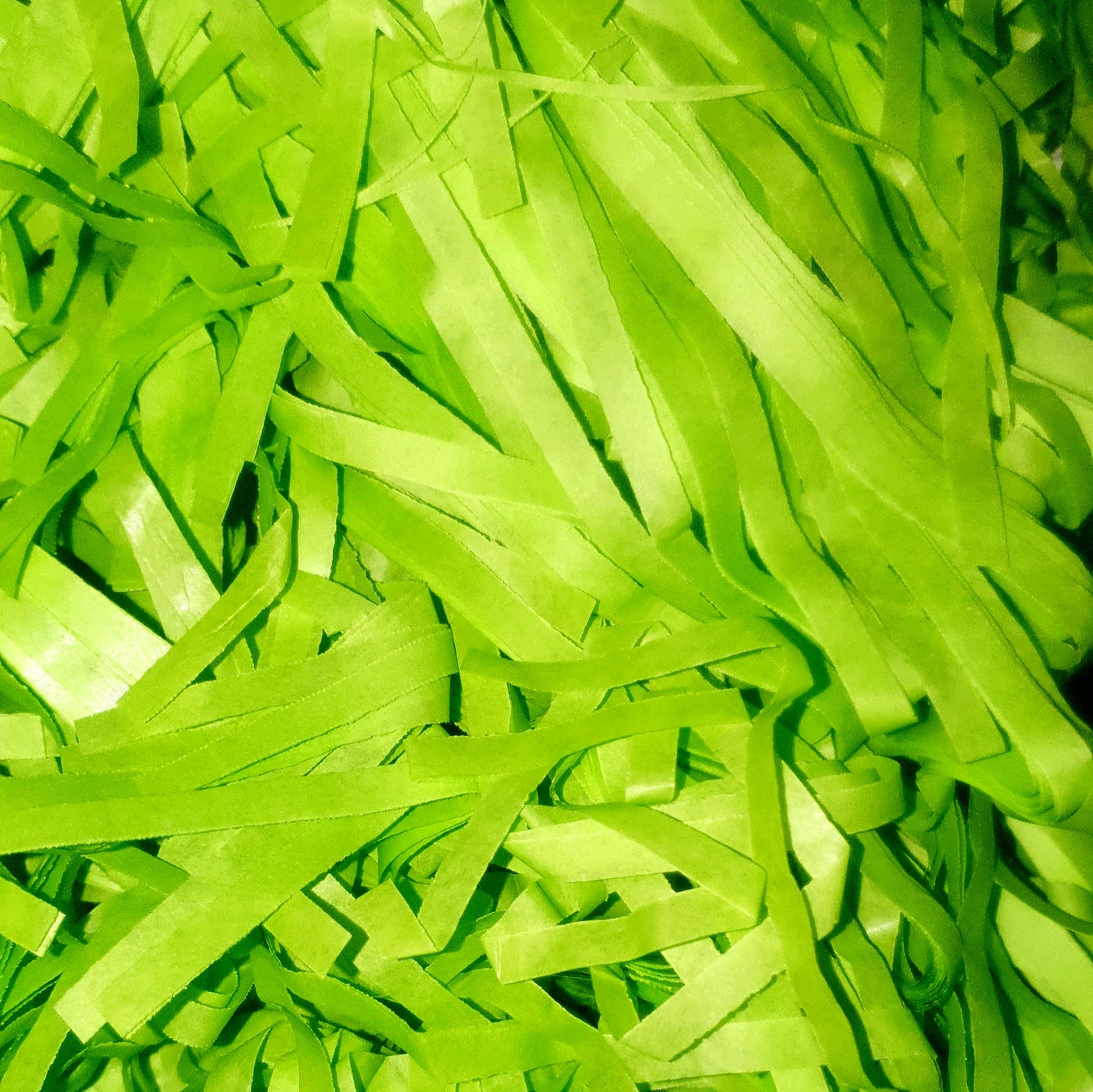 Shredded Tissue Paper Lime Green 50g – B Moore Giftwrap Solutions