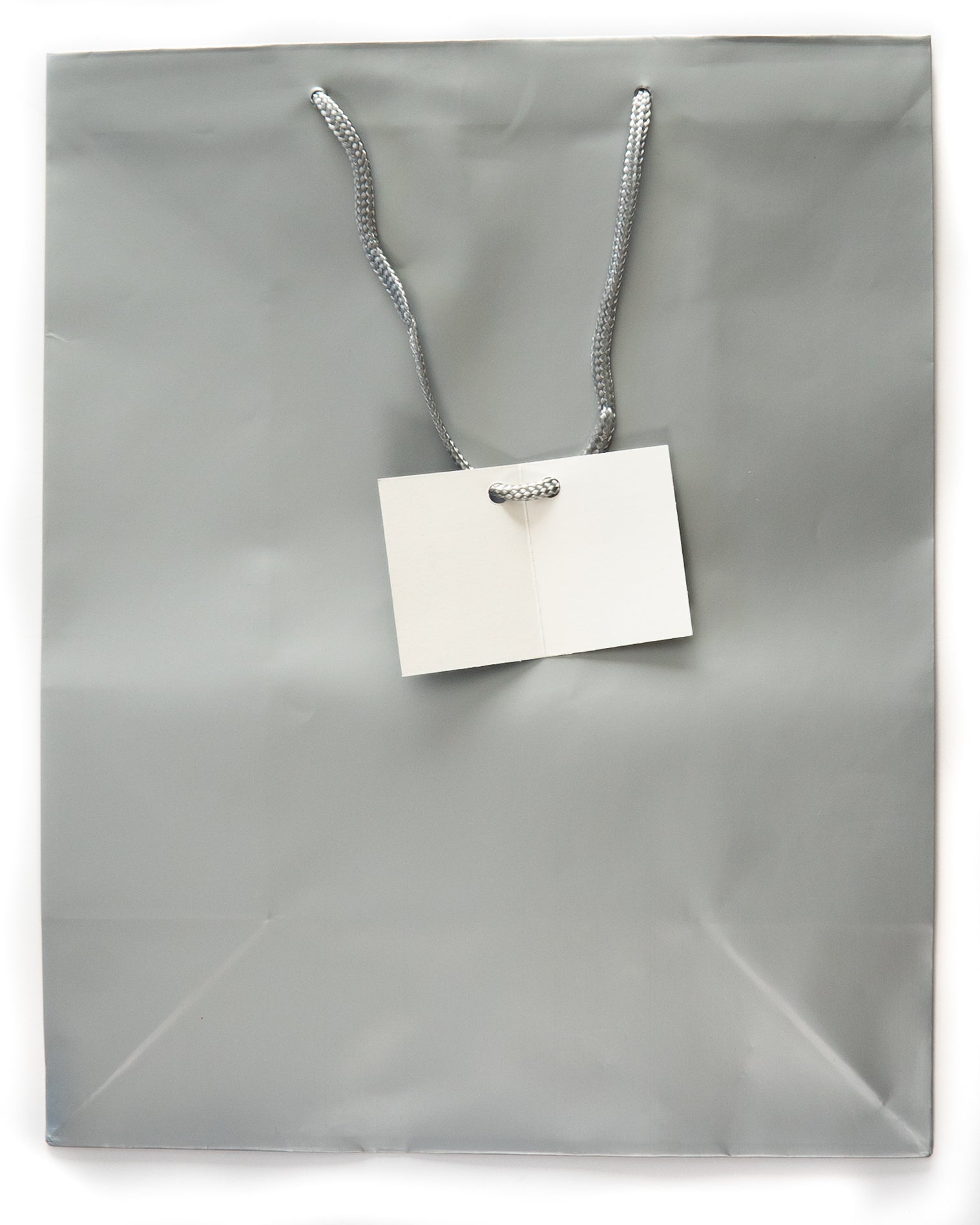 Silver Gift Bag – B Moore Giftwrap Solutions